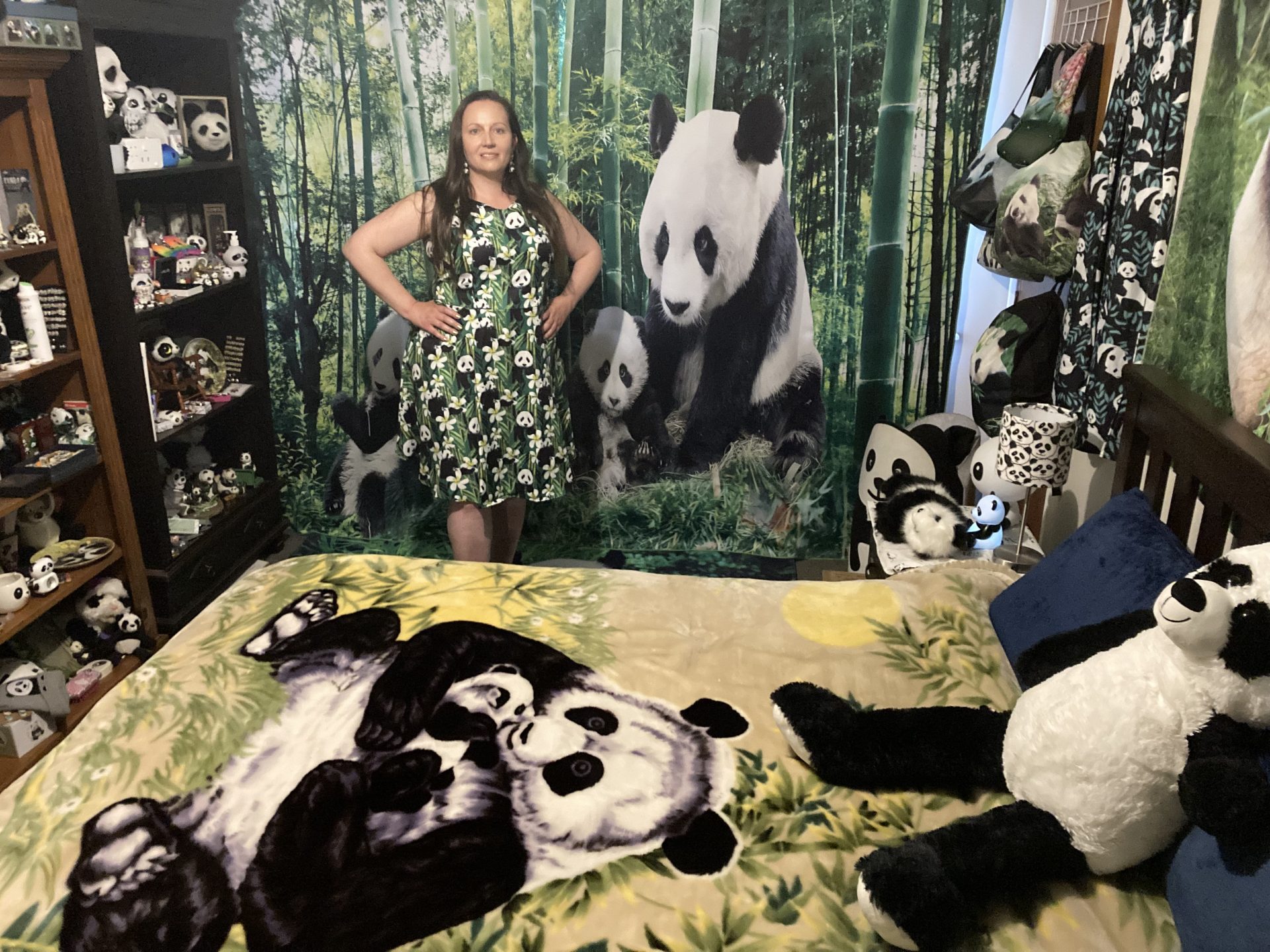 Panda collector tries for world title - Timaru Courier