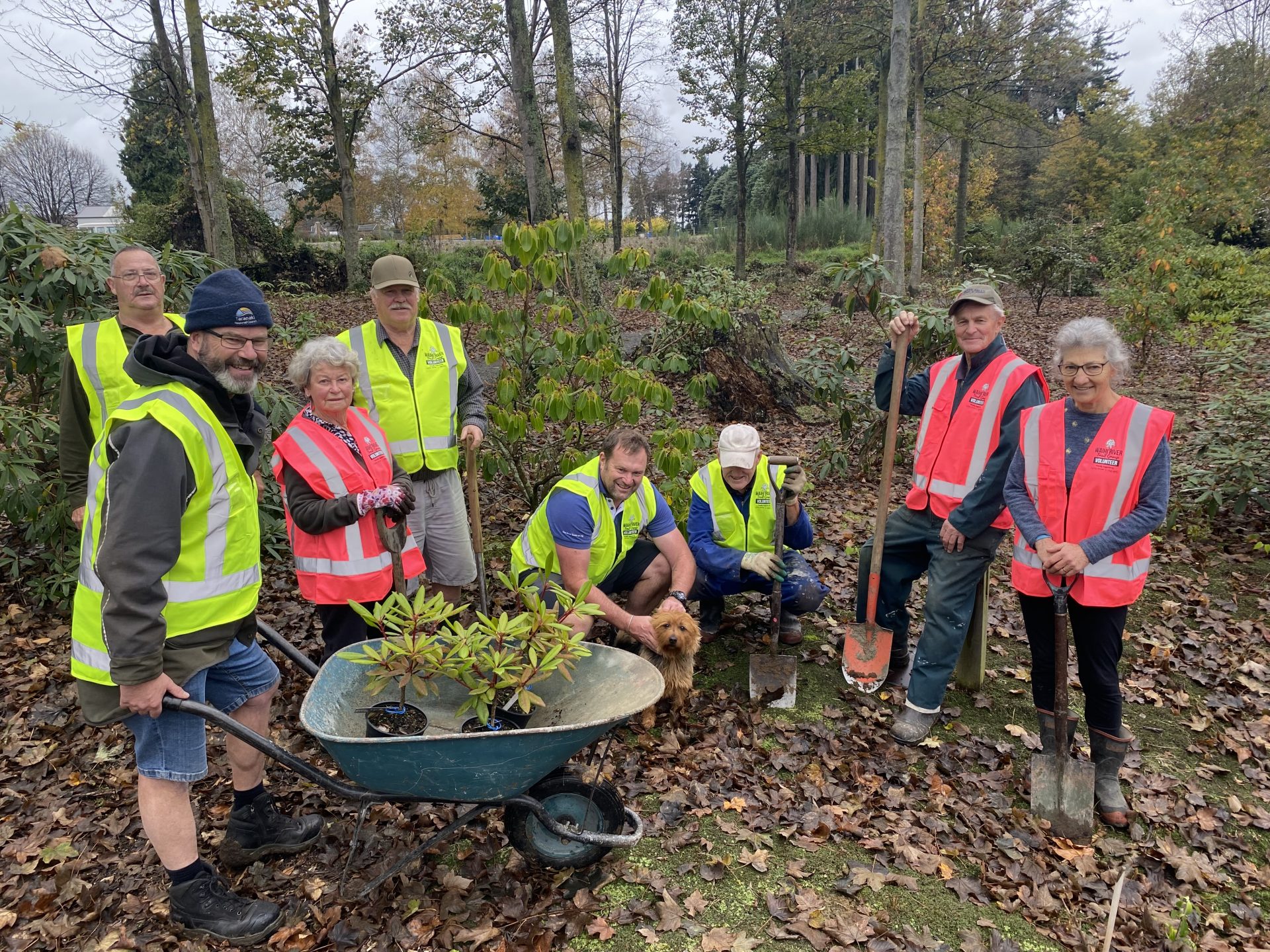 Group plants rare rhododendrons - Timaru Courier